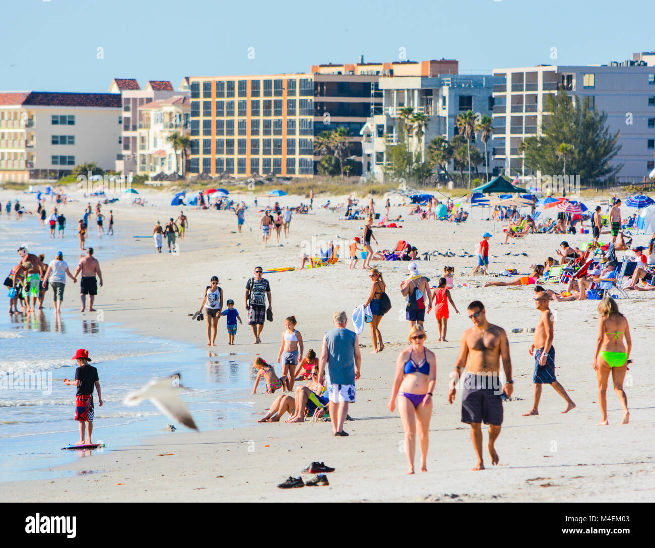 Madeira beach Banque de photographies et d’images à haute résolution ...