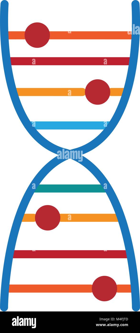 Symbole de l'ADN humain Image Vectorielle Stock - Alamy