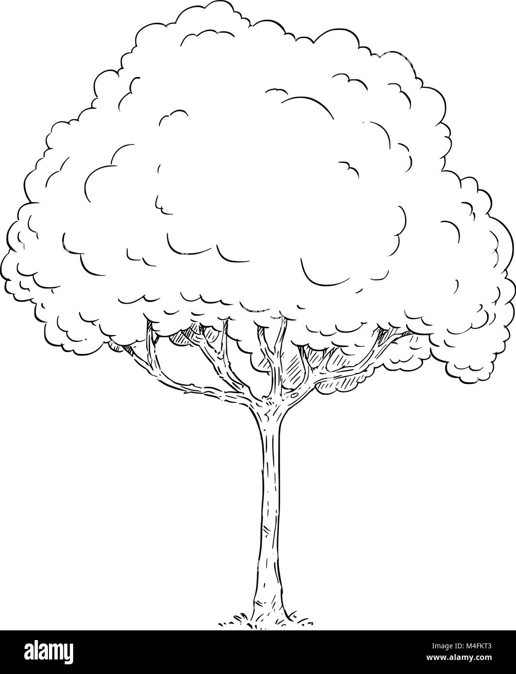 Cartoon Vector Dessin d'arbre Image Vectorielle Stock - Alamy