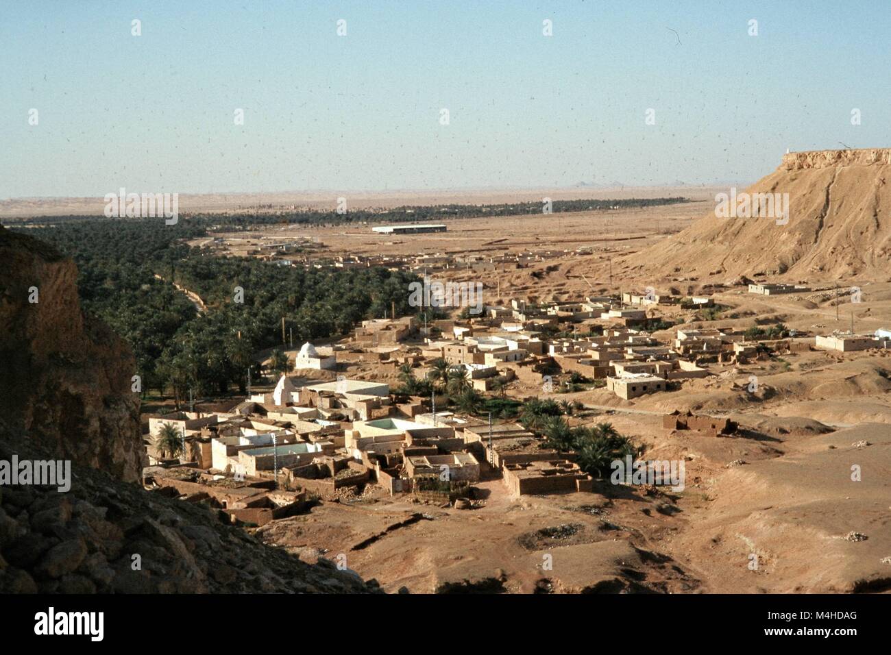 El golea Banque de photographies et d’images à haute résolution - Alamy