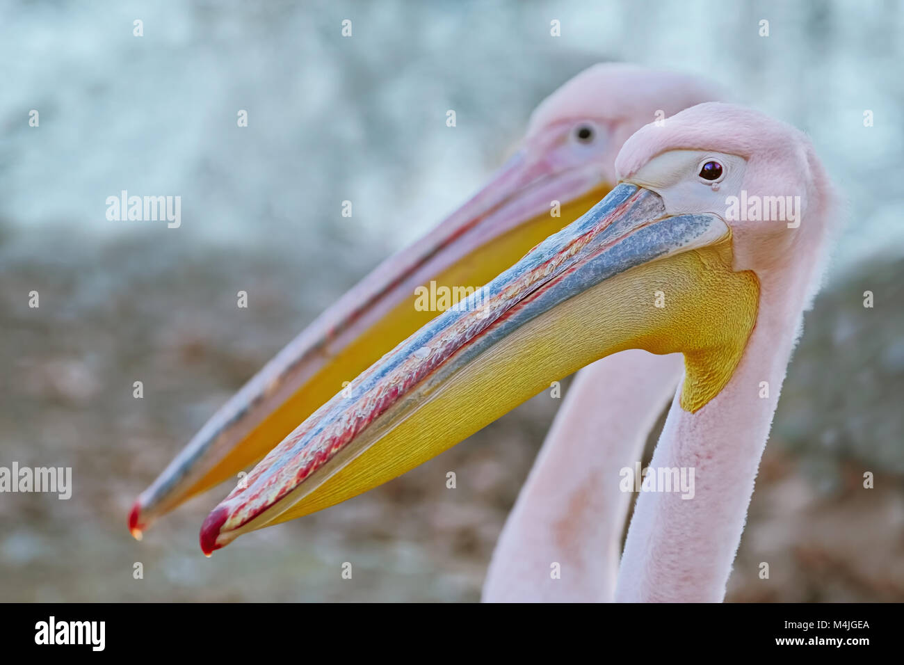 Grande gorge Banque de photographies et d’images à haute résolution - Alamy