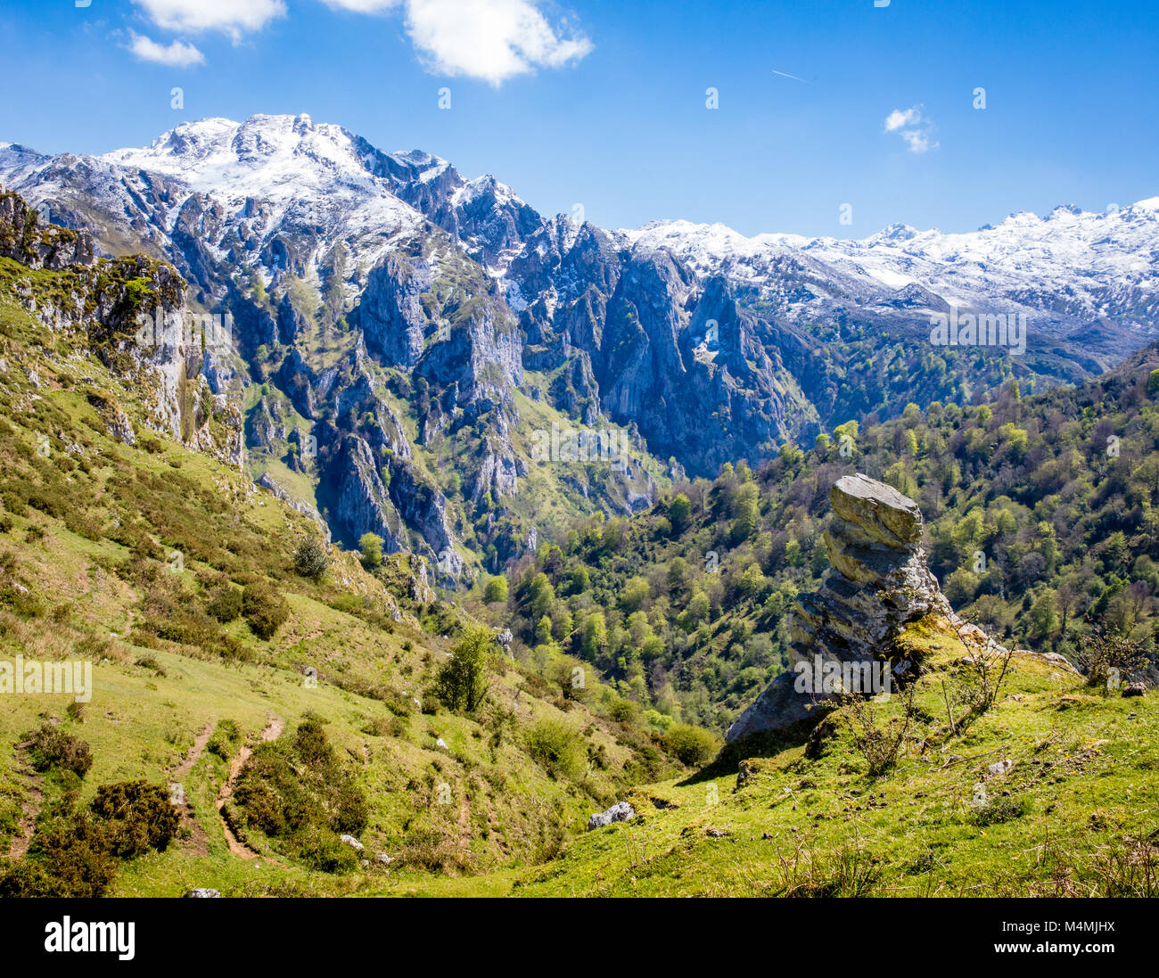 Collau los buitres Banque de photographies et d’images à haute ...