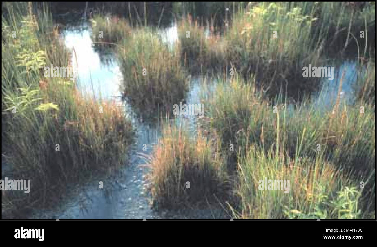 Commission biologique du paysage des prairies dans les plaines ...