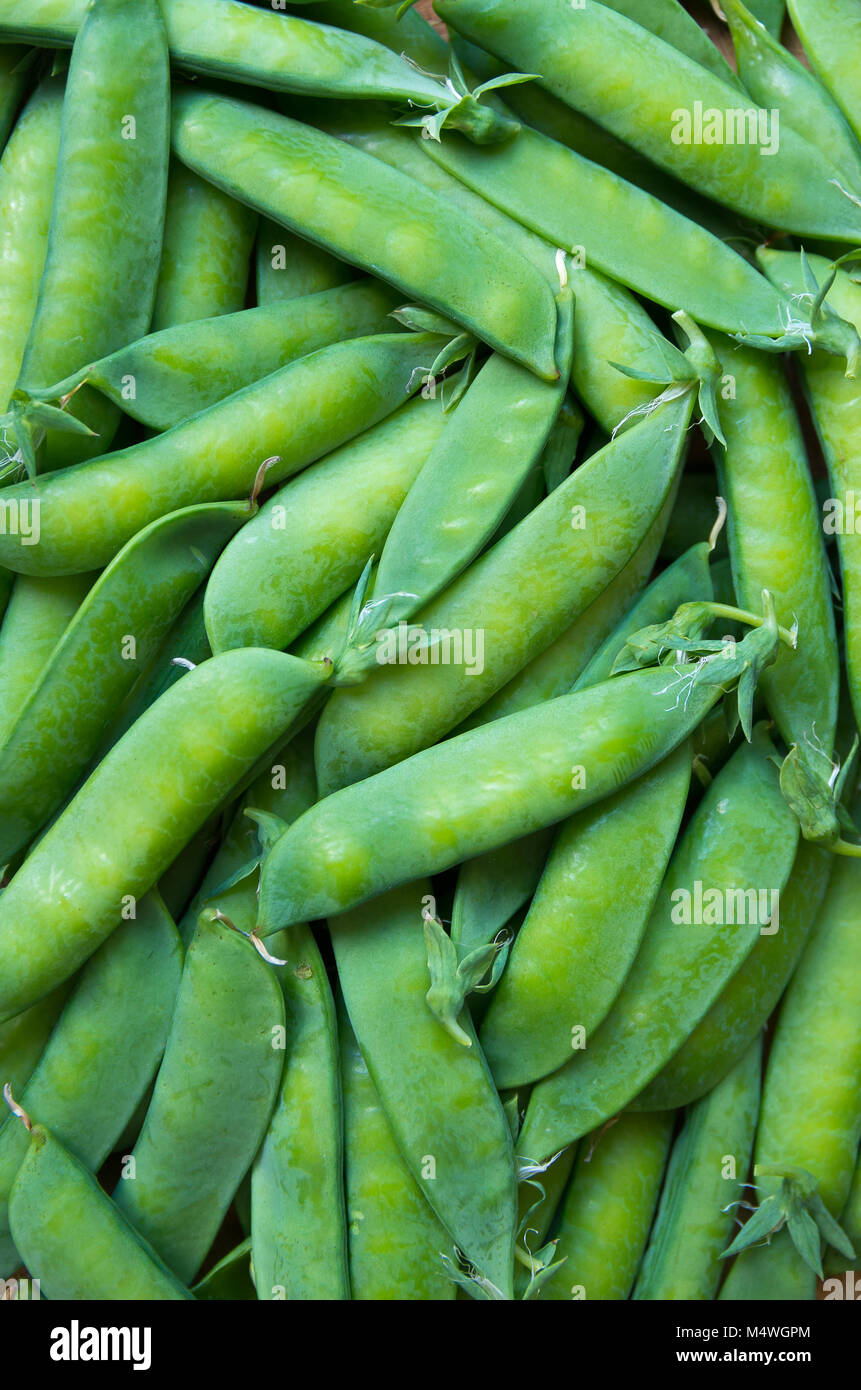 Graine de haricot ouverte Banque de photographies et d’images à haute ...