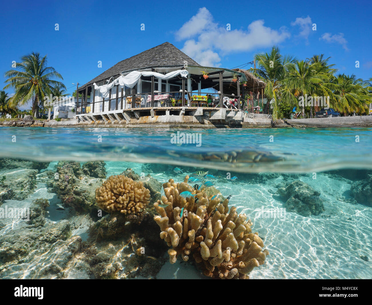 Restaurant au bord de la mer de corail et les poissons sous l'eau, vue ...