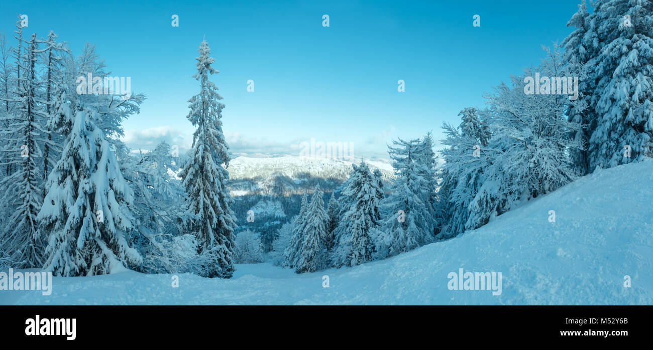 Carpates hiver paysage, l'Ukraine Photo Stock - Alamy