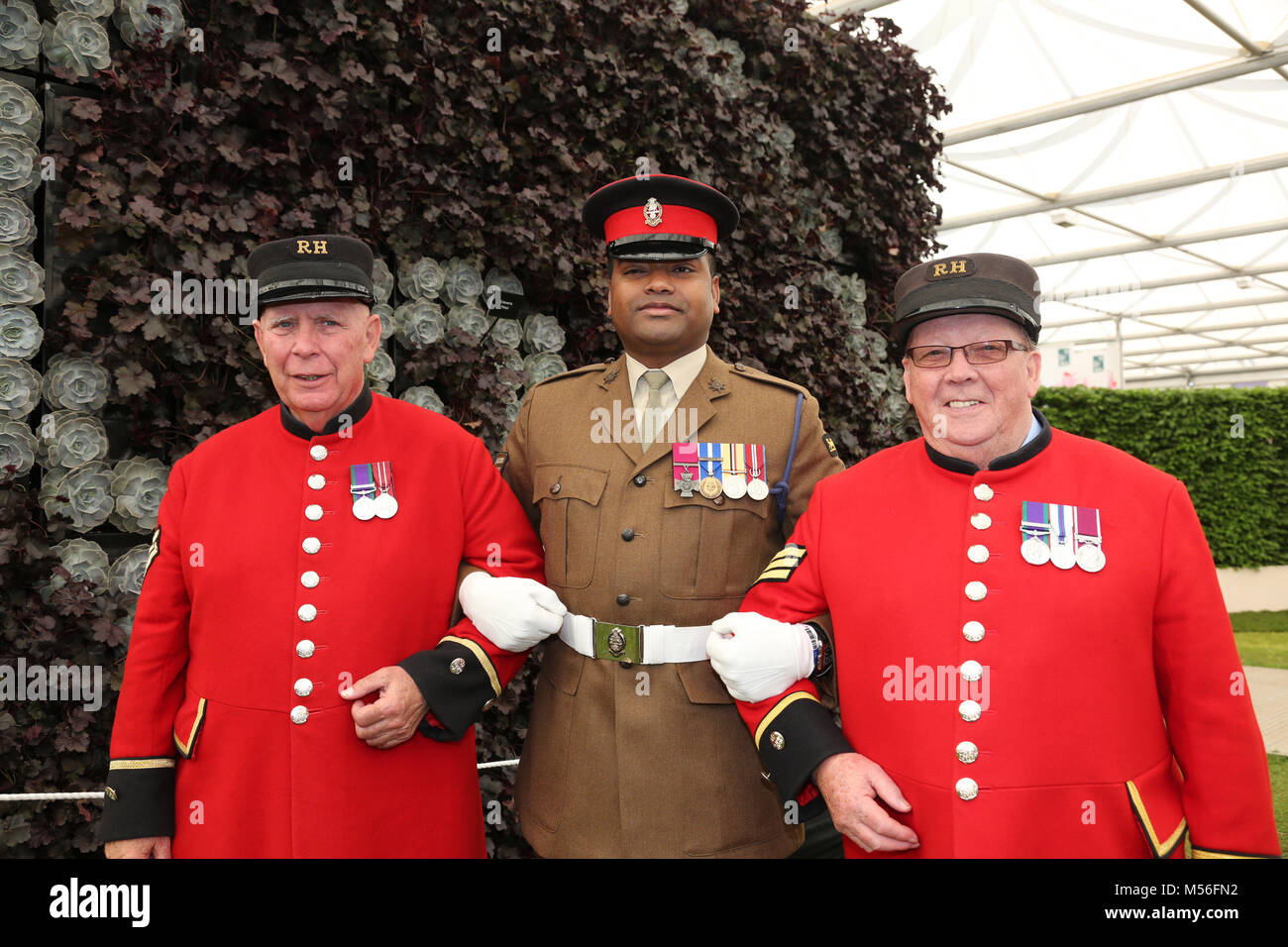 Johnson beharry vc Banque de photographies et d’images à haute ...