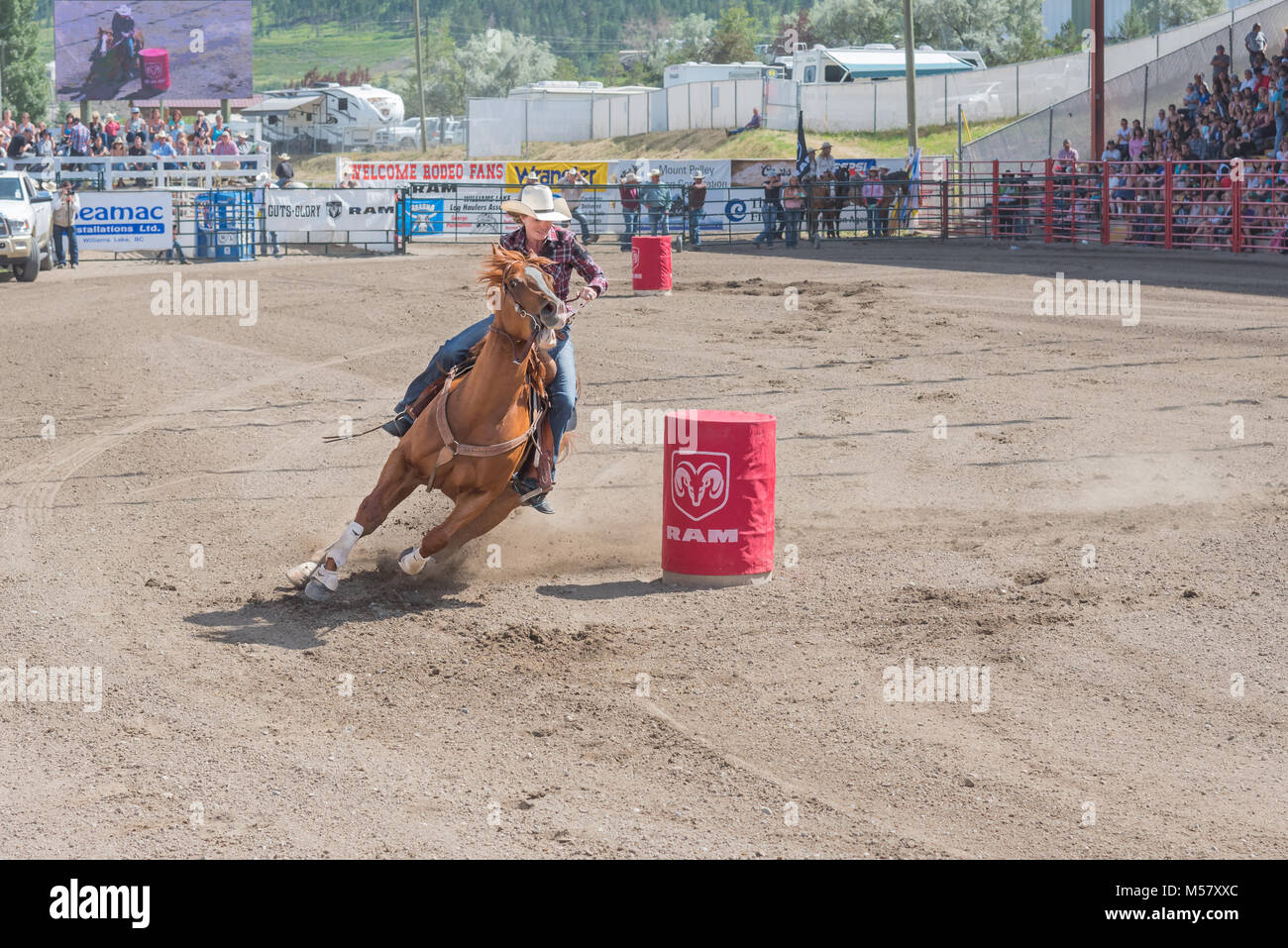 Cowgirl Cheval et prendre un virage serré autour d'un baril à la 90e ...