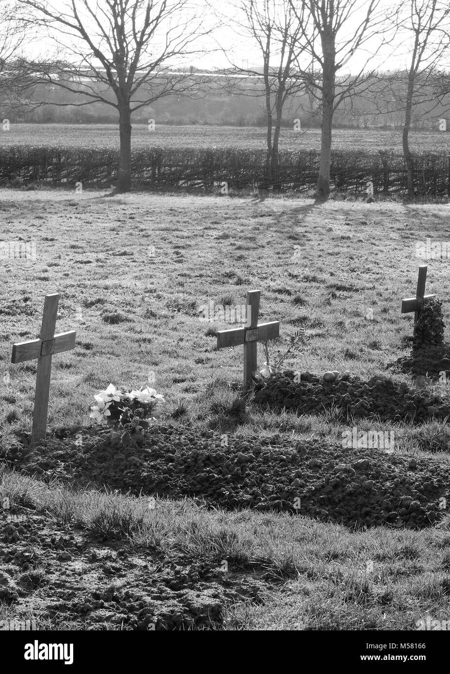 Croix en bois pour marquer la tombe Banque de photographies et d’images ...