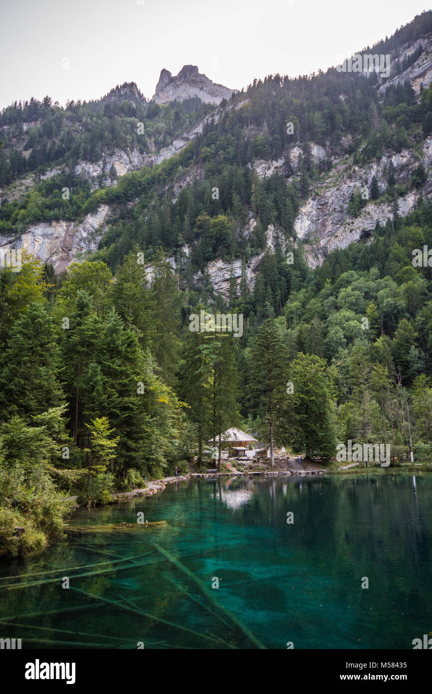 Lac Blausee dans le beau pays de la Suisse dans les alpes suisses à ...