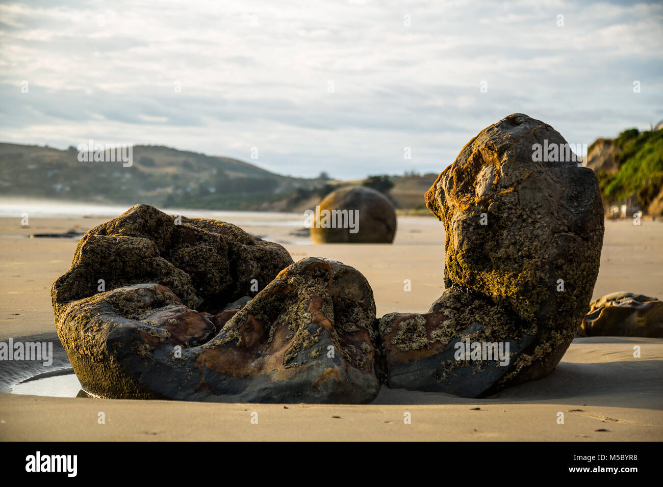 Un rocher rond parfait du Moeraki Boulders beach vue derrière une ...