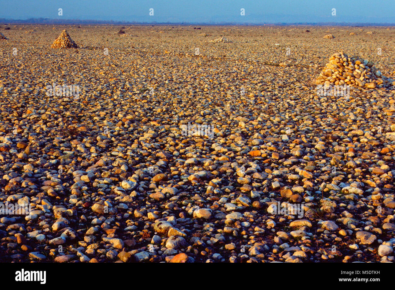 St martin de crau Banque de photographies et d’images à haute ...