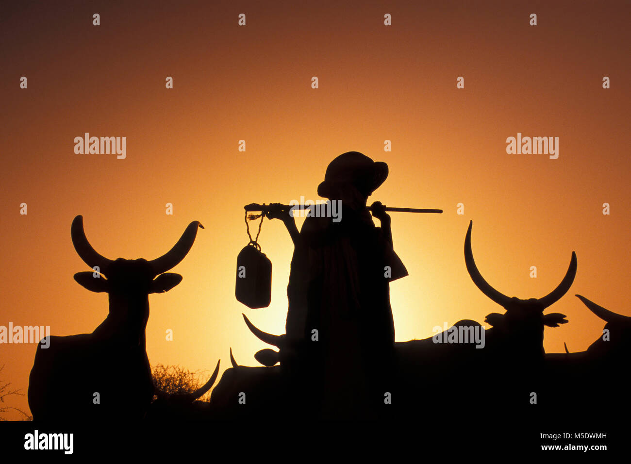 Cattle herd sahel Banque de photographies et d’images à haute ...