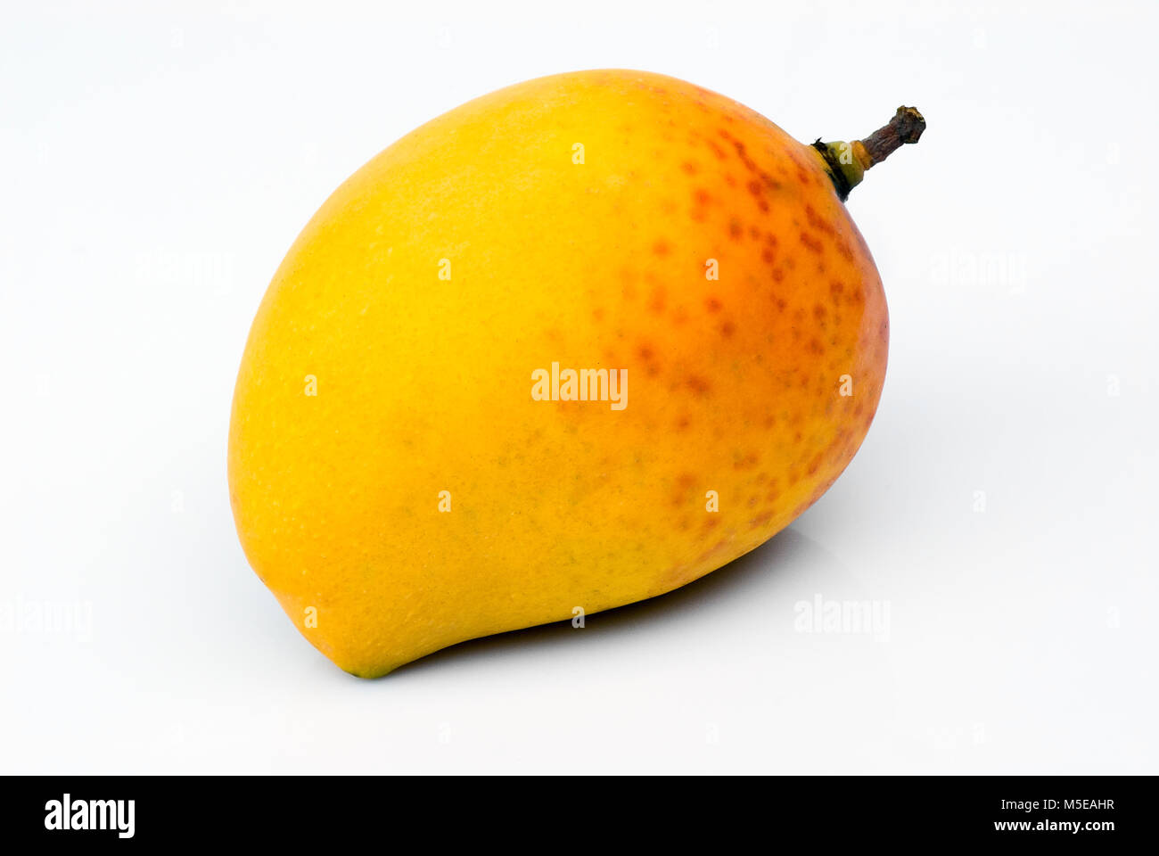 La mangue Alphonso, le roi de la mangue (Mangifera indica Photo Stock ...