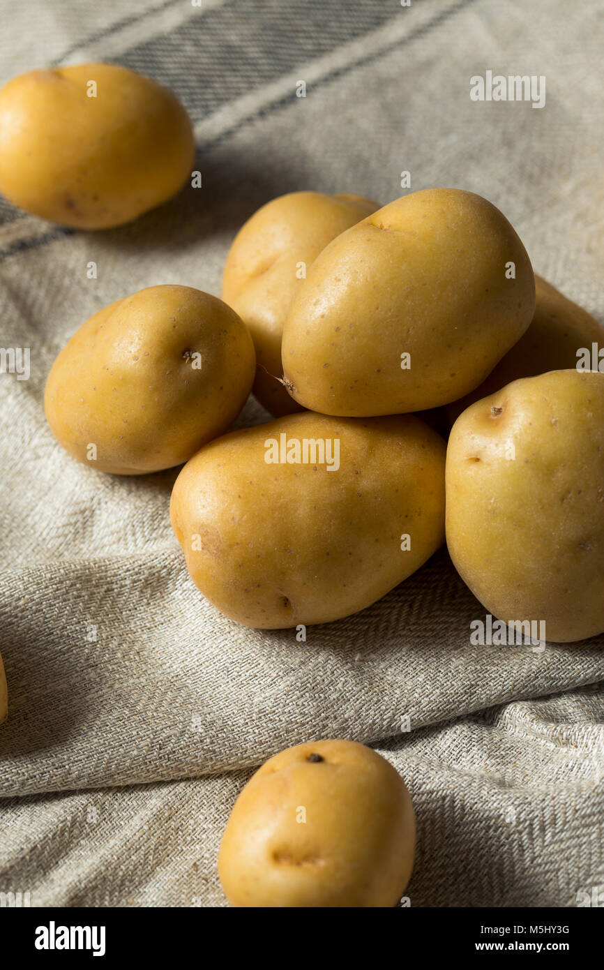Pomme de terre jaune Banque de photographies et d’images à haute ...