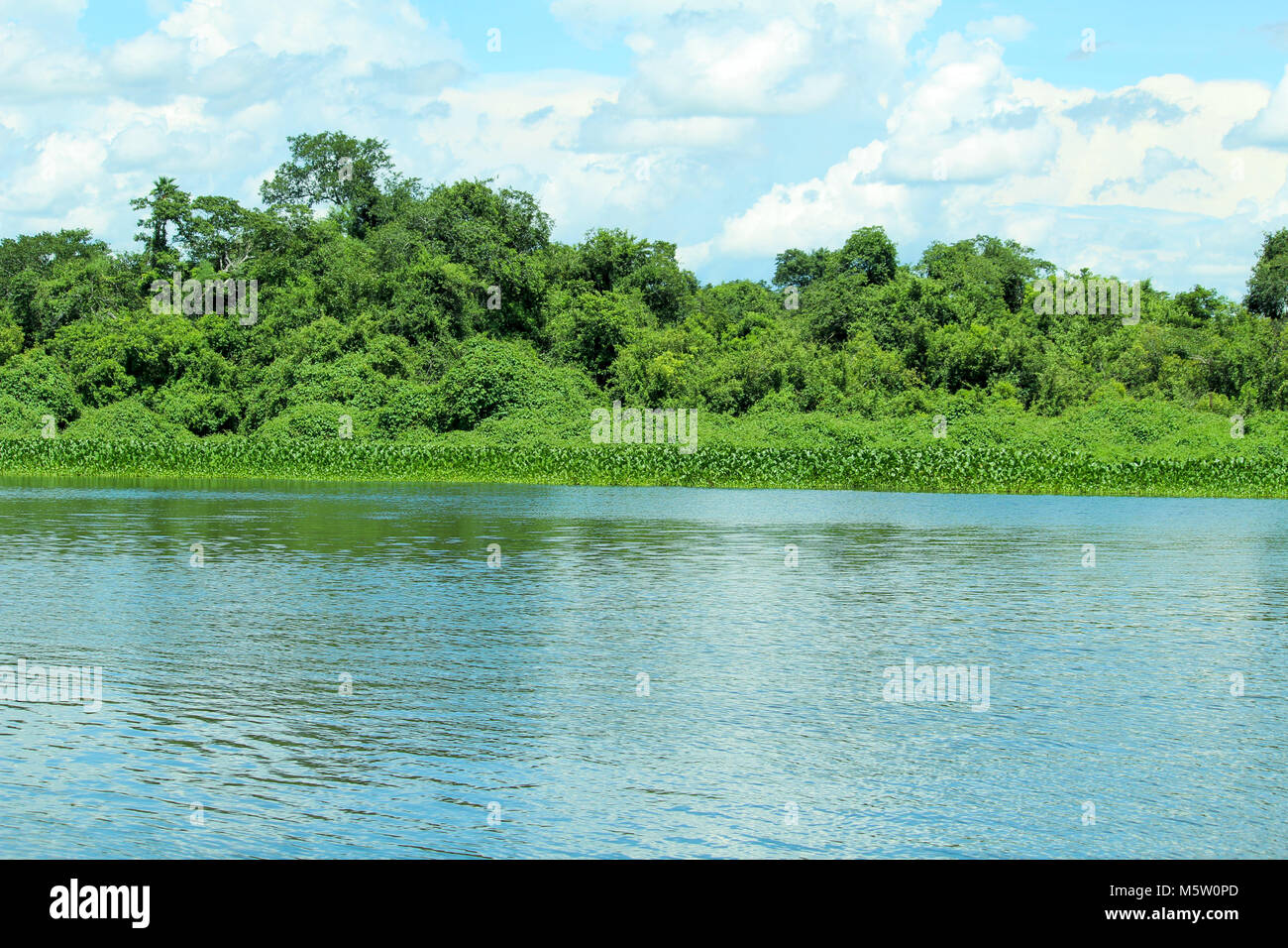 Rio verde Banque de photographies et d’images à haute résolution - Alamy