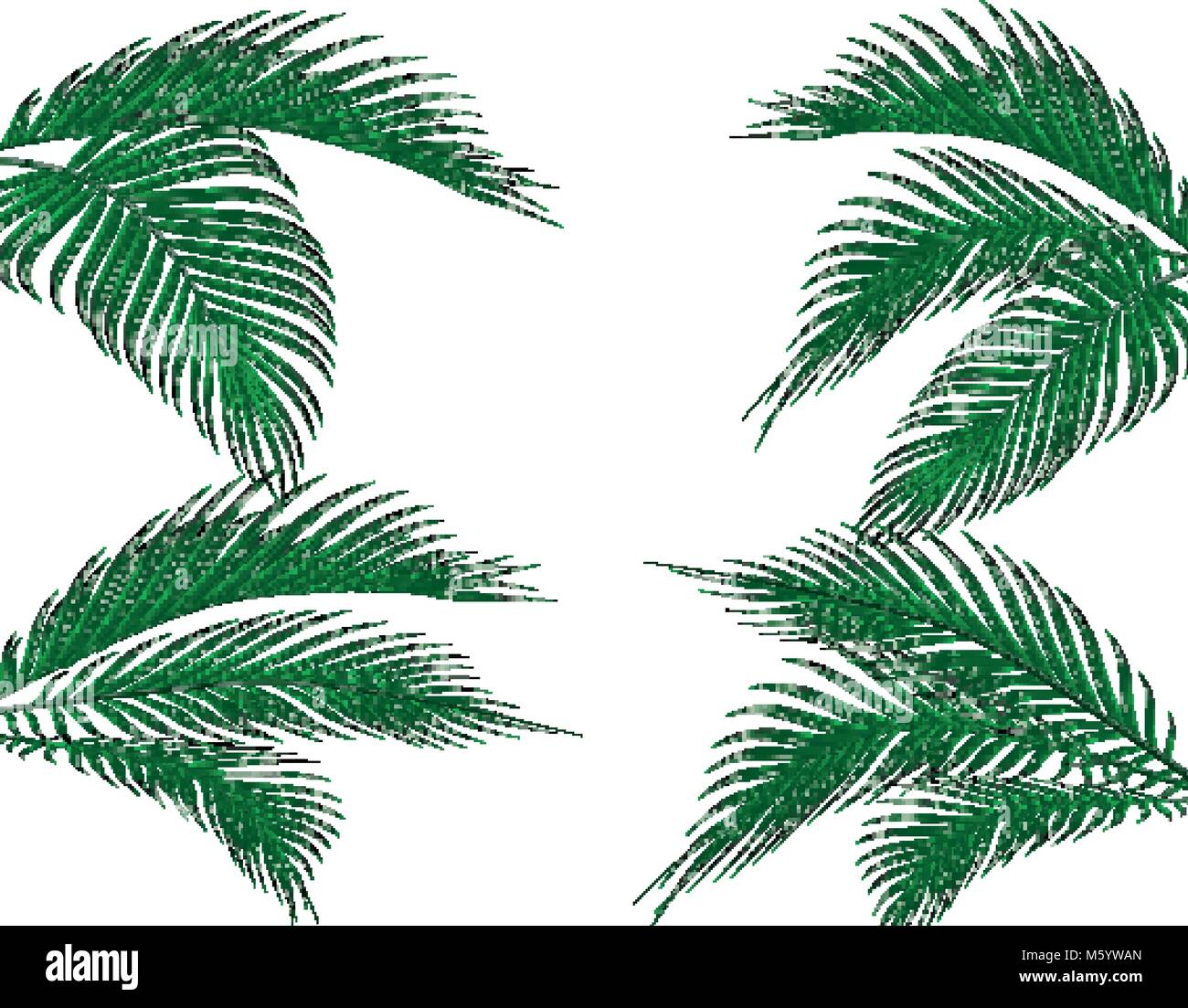 Différents dans la forme des feuilles de palmier tropical vert foncé ...