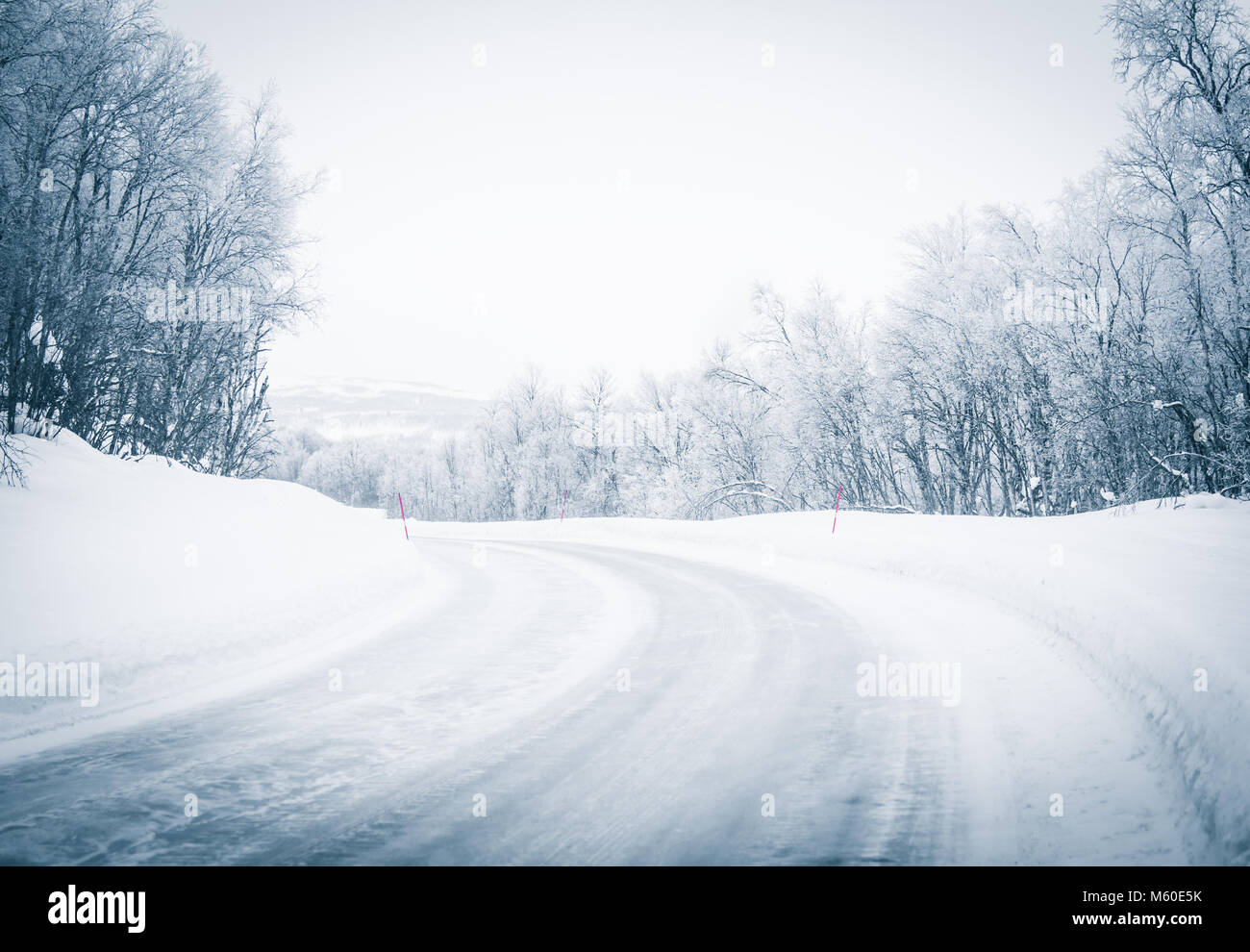 Un beau blanc route à travers la forêt dans le centre de la Norvège ...