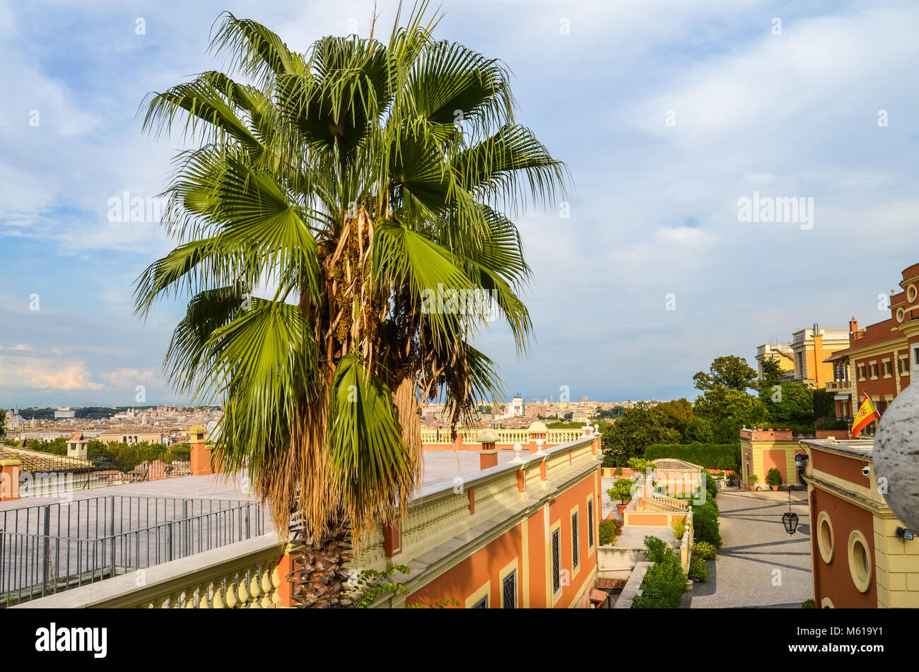 Palmier et toits de Rome le jour ensoleillé Photo Stock - Alamy