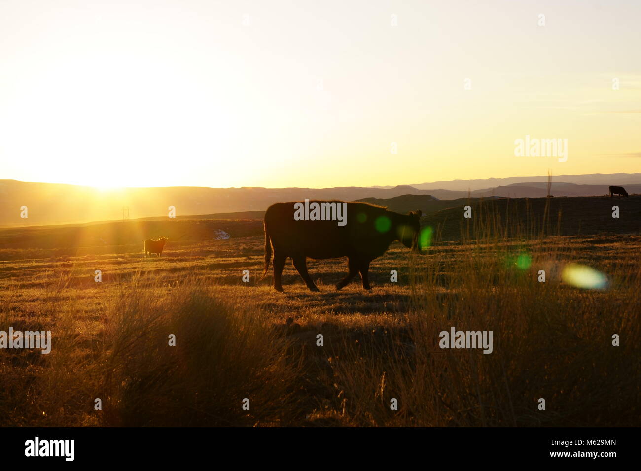 Slow life Banque de photographies et d’images à haute résolution - Alamy