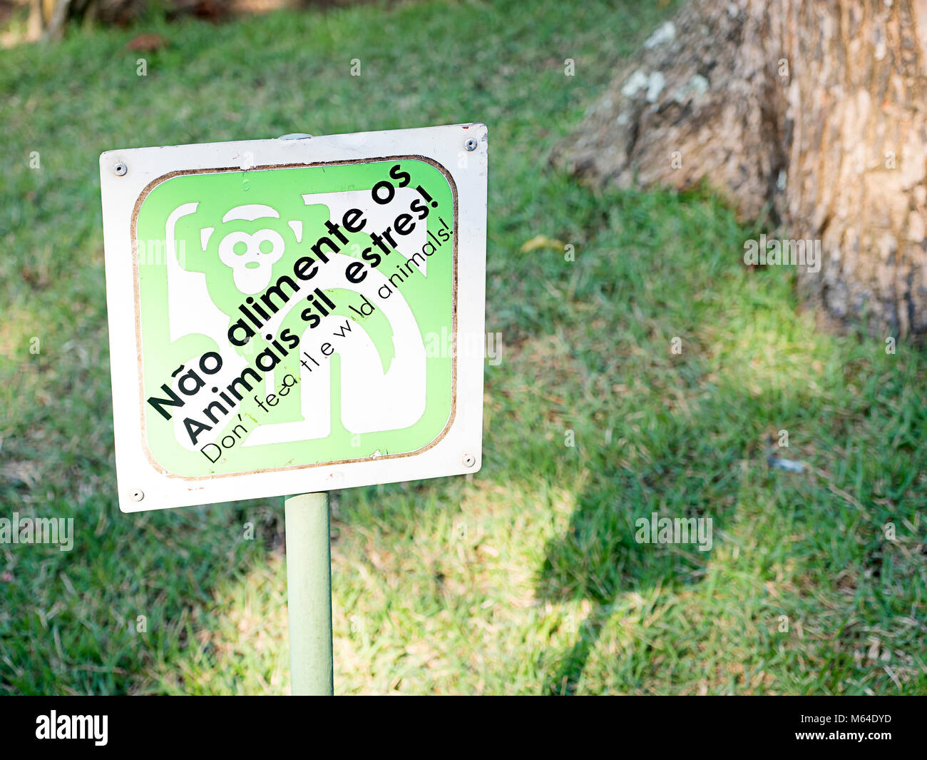 Panneau de singe Banque de photographies et d’images à haute résolution ...