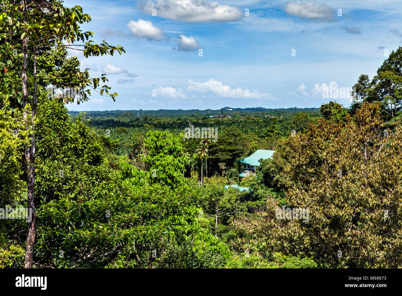 Centre de découverte de la forêt tropicale de Bornéo Photo Stock - Alamy