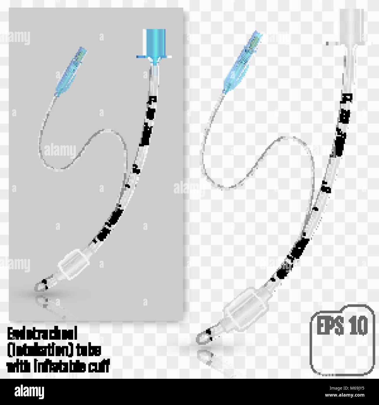 - L'intubation trachéale - tube endotrachéal - avec brassard gonflable ...