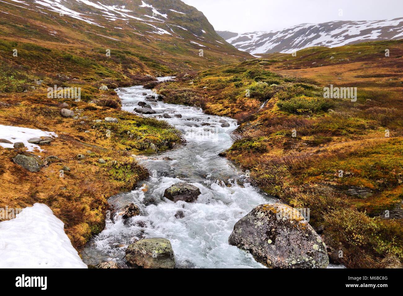 Tundra biome Banque de photographies et d’images à haute résolution - Alamy