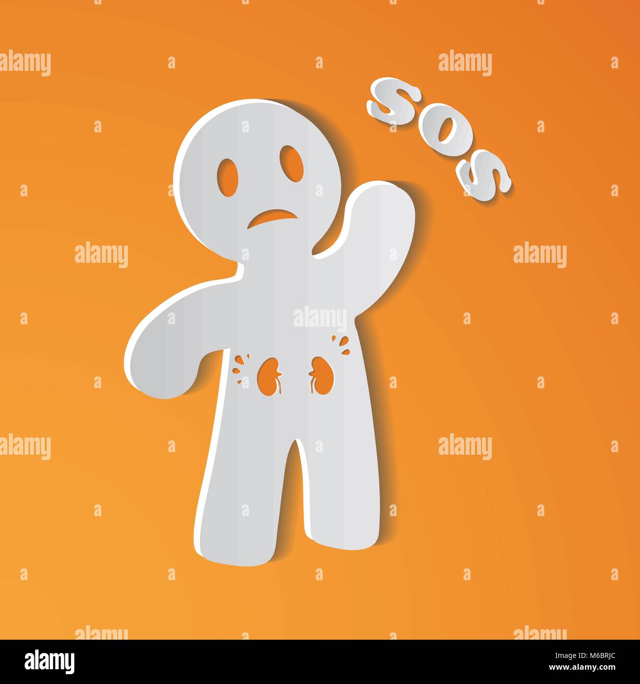Sistema urinario masculino Banque d'images vectorielles - Alamy