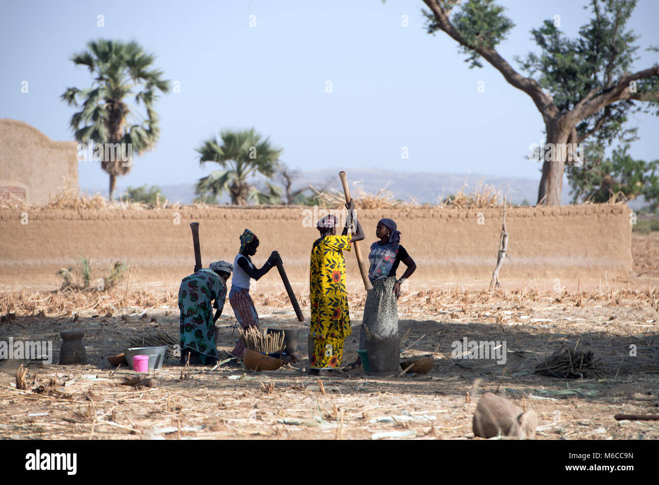 Women pounding millet Banque de photographies et d’images à haute ...