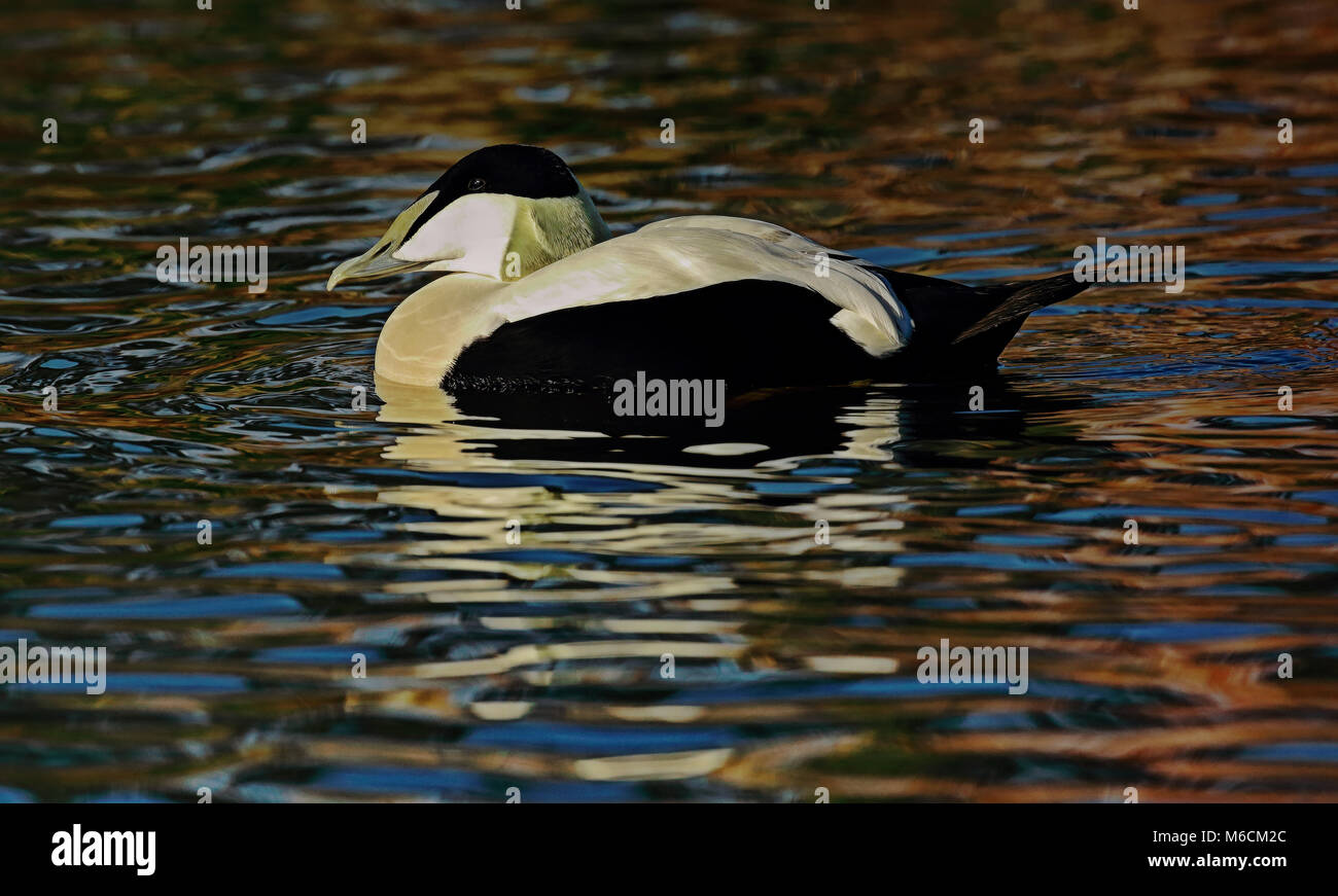 Udy Banque de photographies et d’images à haute résolution - Alamy