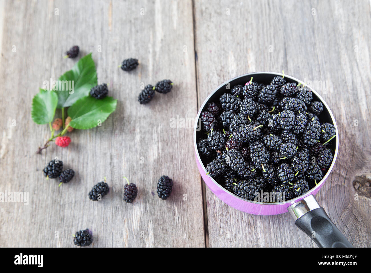 Murier noir des baies dans un pot rose sur une table en bois. dans l ...
