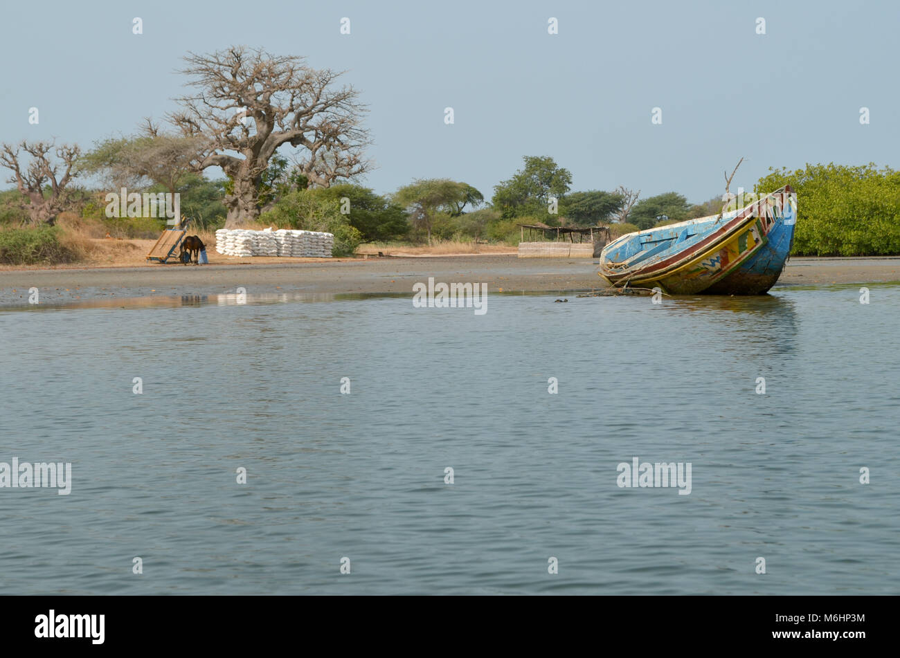 Senegal saloum river delta mangrove Banque de photographies et d’images ...