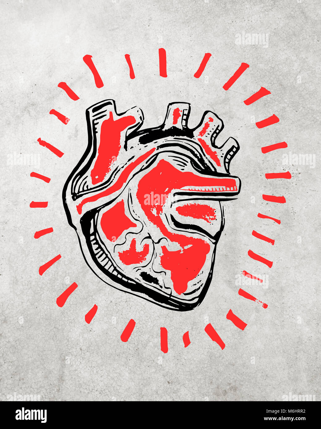Hand drawn vector illustration ou dessin d'un coeur humain Photo Stock ...