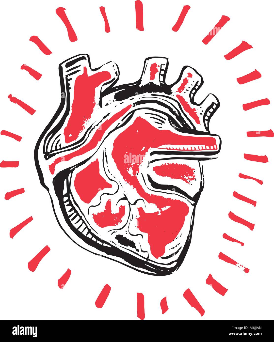 Hand drawn vector illustration ou dessin d'un coeur humain Image ...