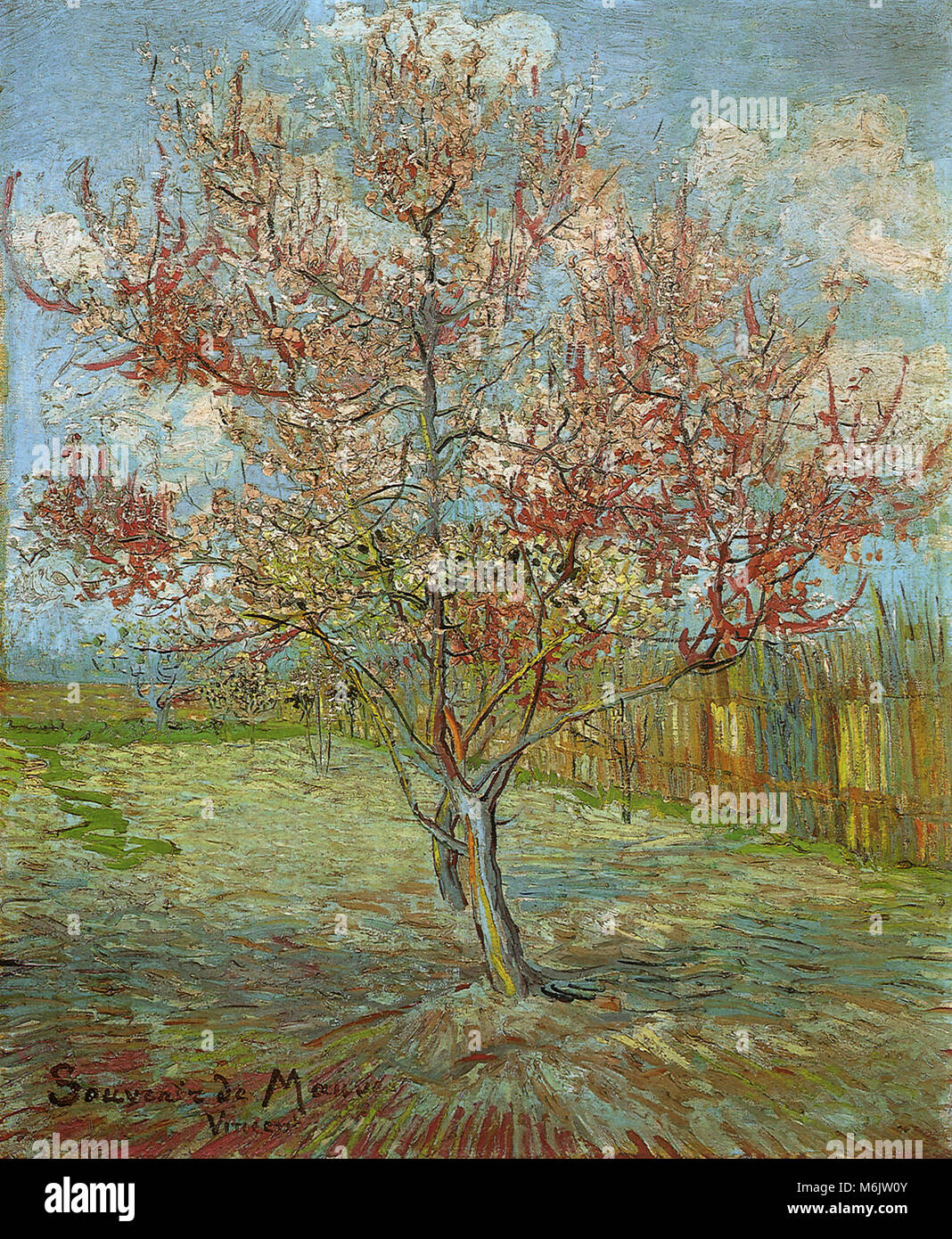 Arbre en fleurs rose pêche, Van Gogh, Vincent Willem, 1888 Photo Stock ...