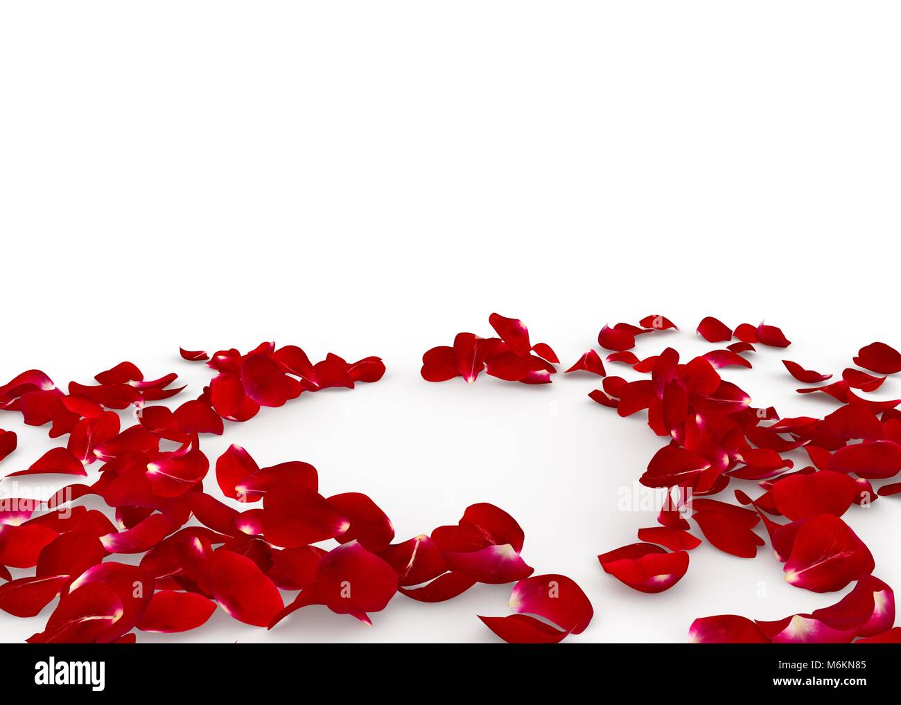 Pétales de rose rouge sur le sol. Au centre un espace vide pour votre ...