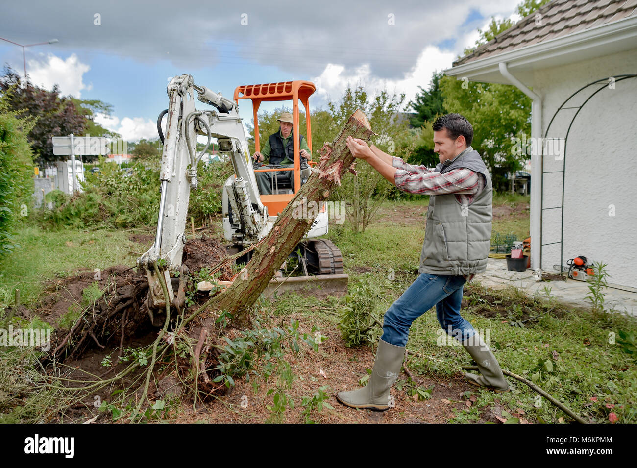 Enlever les racines des arbres Banque de photographies et d’images à ...