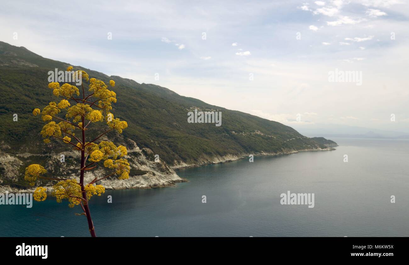 La ligne de côte à l'ouest de la Corse à la péninsule du Cap Corse ...