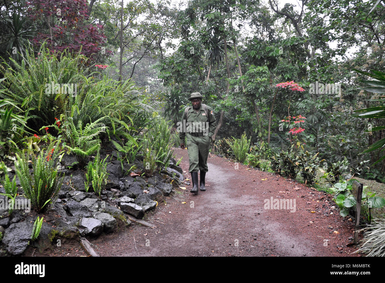 Virunga national park congo Banque de photographies et d’images à haute ...