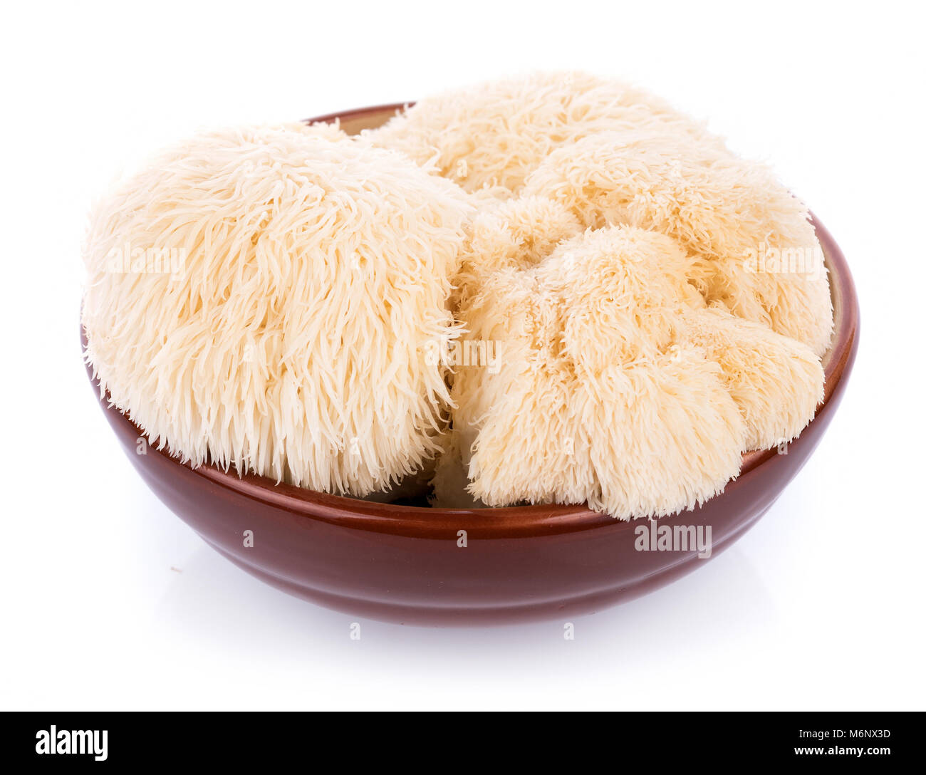 Crinière de lion champignon isolé sur fond blanc Photo Stock - Alamy