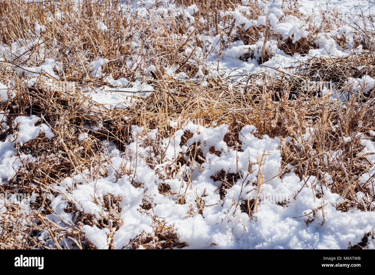 Neige au sol Banque de photographies et d’images à haute résolution - Alamy