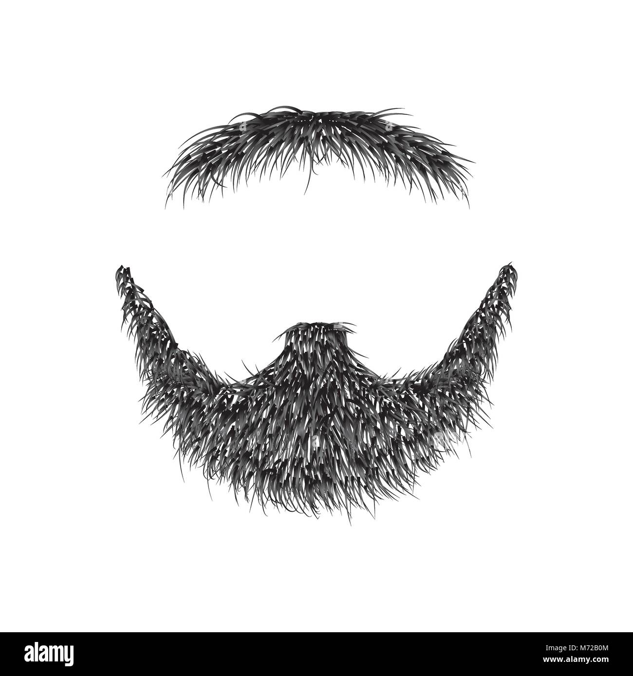 Barbe réaliste isolé sur fond blanc vector illustration Image ...