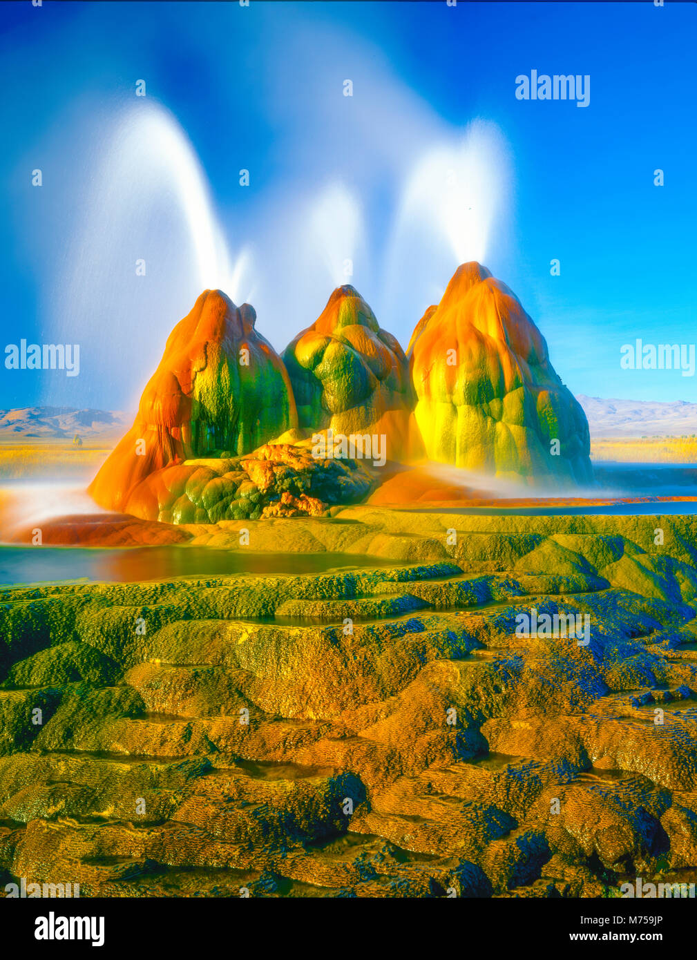 Fly Geyser au lever du soleil, Black Rock Desert, Nevada, Hot spring ...