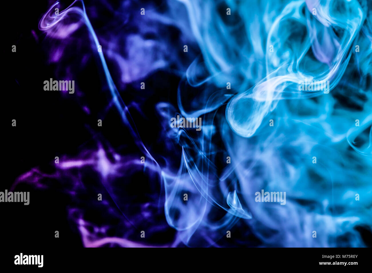 La fumée épaisse de couleur bleu et violet sur un fond noir isolé ...