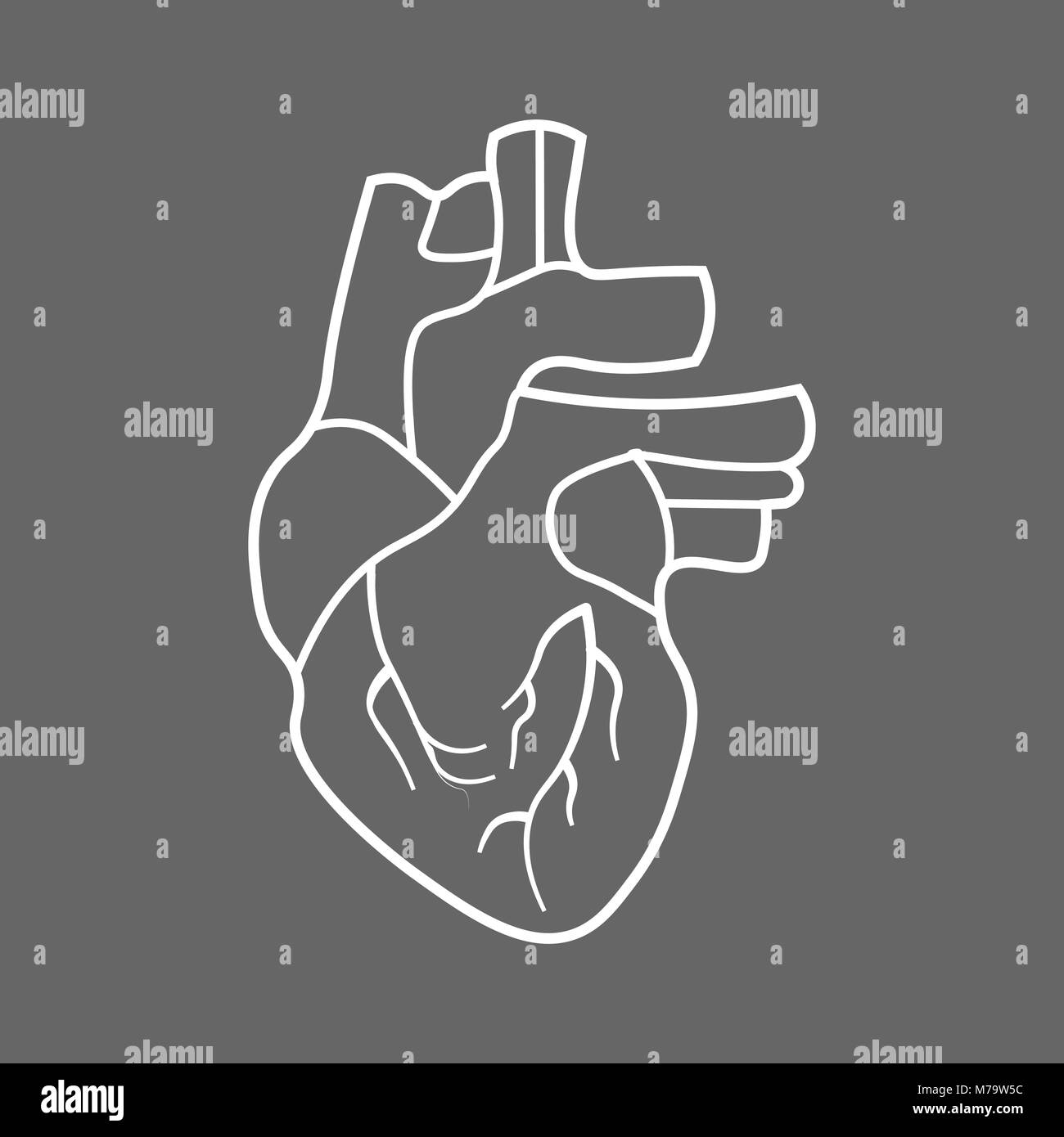 Anatomie du coeur humain stylisé icône ligne Image Vectorielle Stock ...