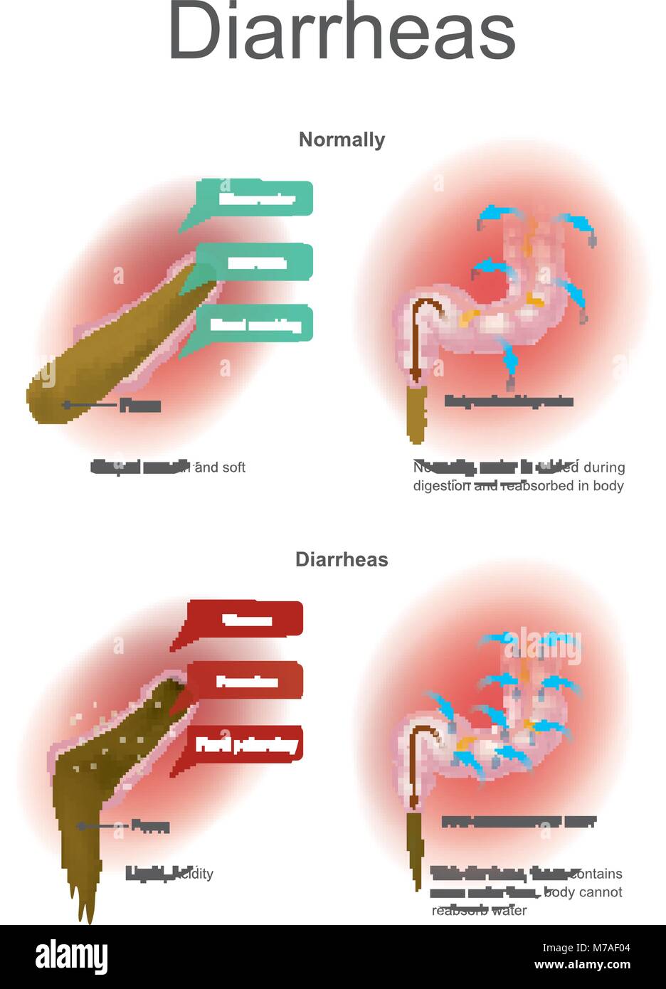 L'eau est normalement ajouté pendant la digestion et réabsorbé dans le ...