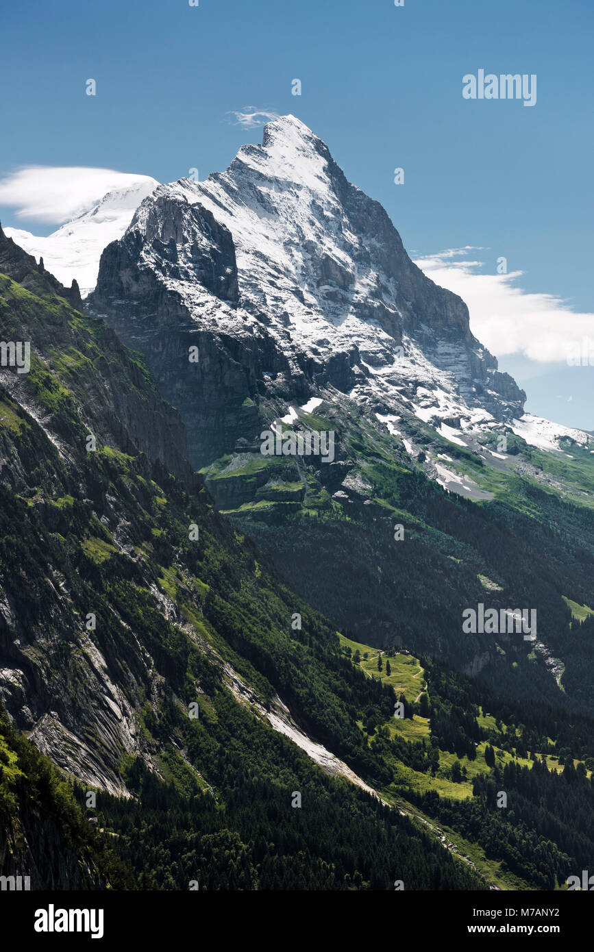 Grindelwald avec la montagne de l'eiger Banque de photographies et d ...