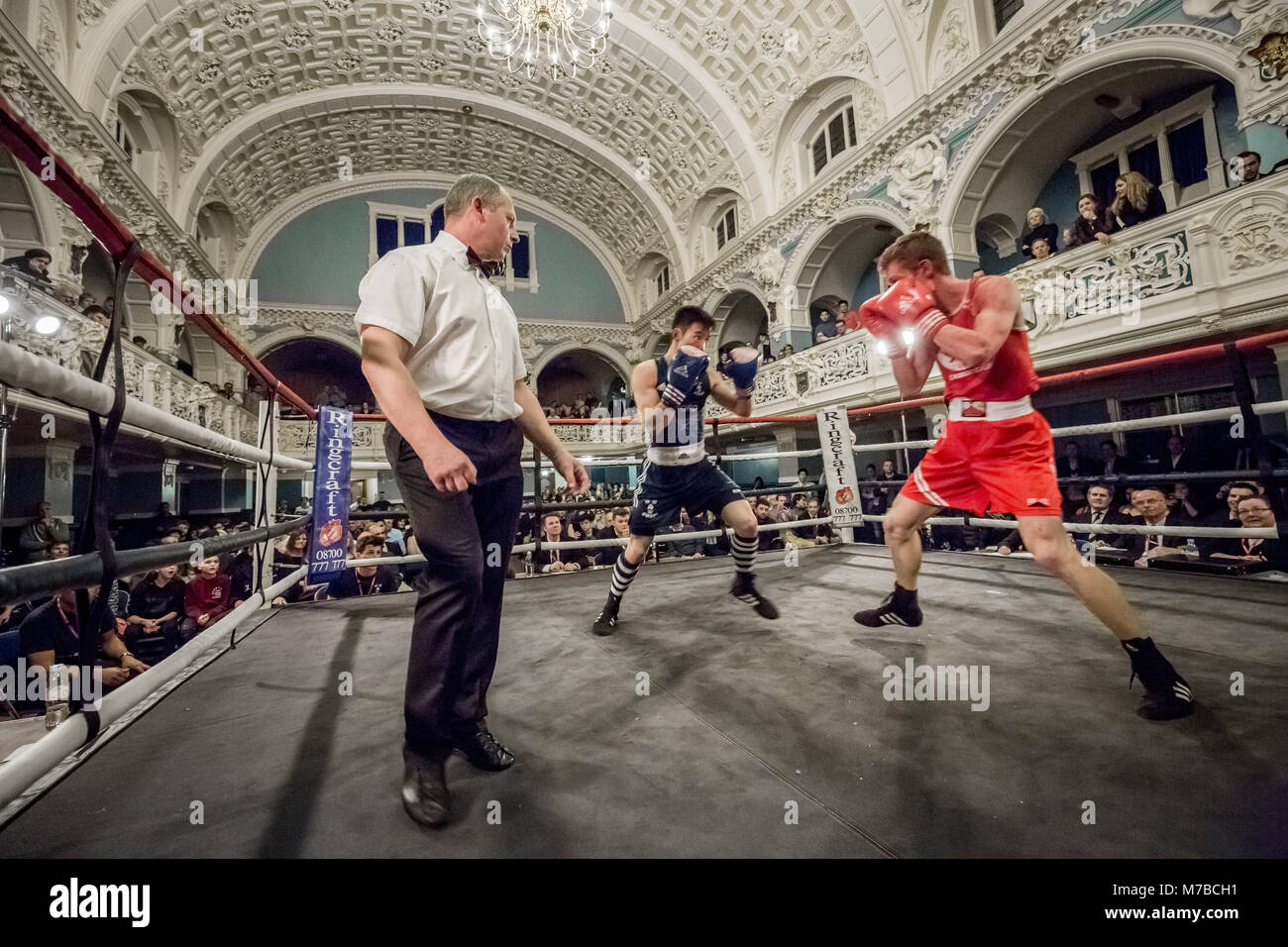 Combat de boxe Banque de photographies et d’images à haute résolution ...