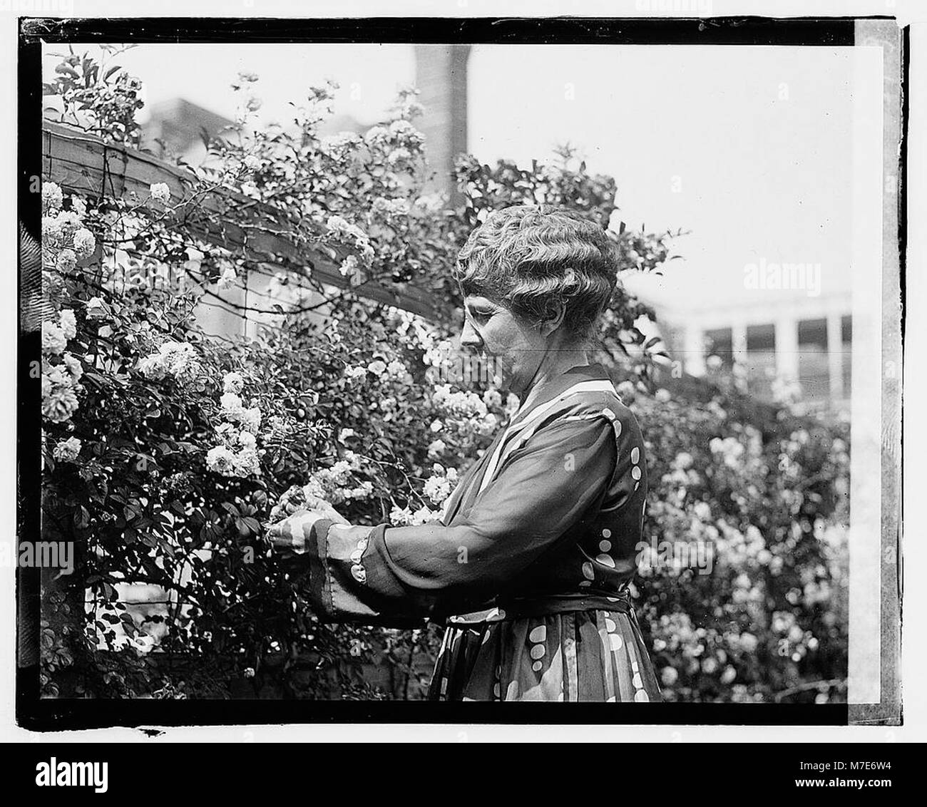 Mme warren Banque de photographies et d’images à haute résolution - Alamy